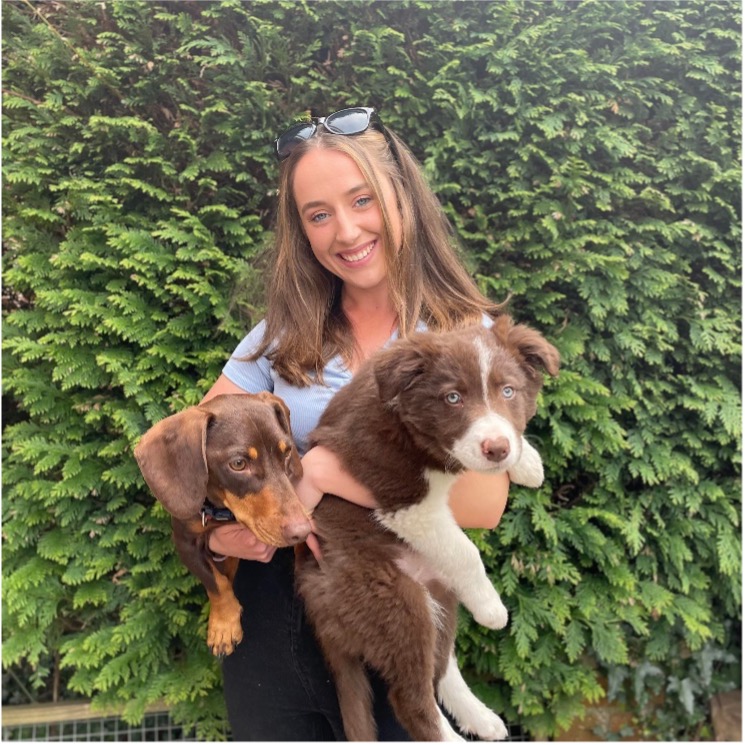 ESP - Canine and Equine Massage Therapy